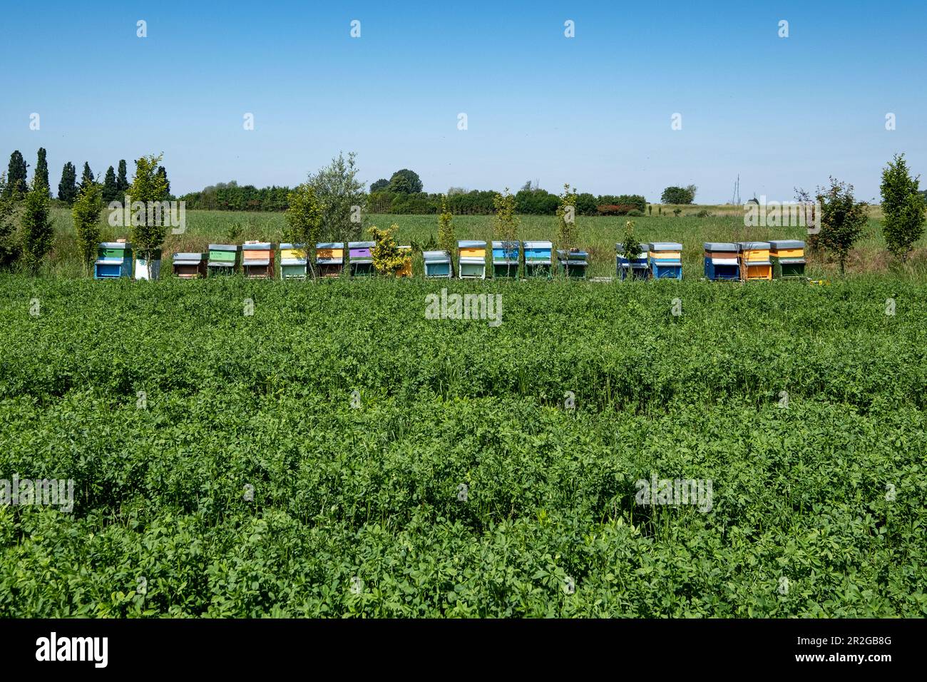 Colorful beehives italy hi-res stock photography and images - Alamy