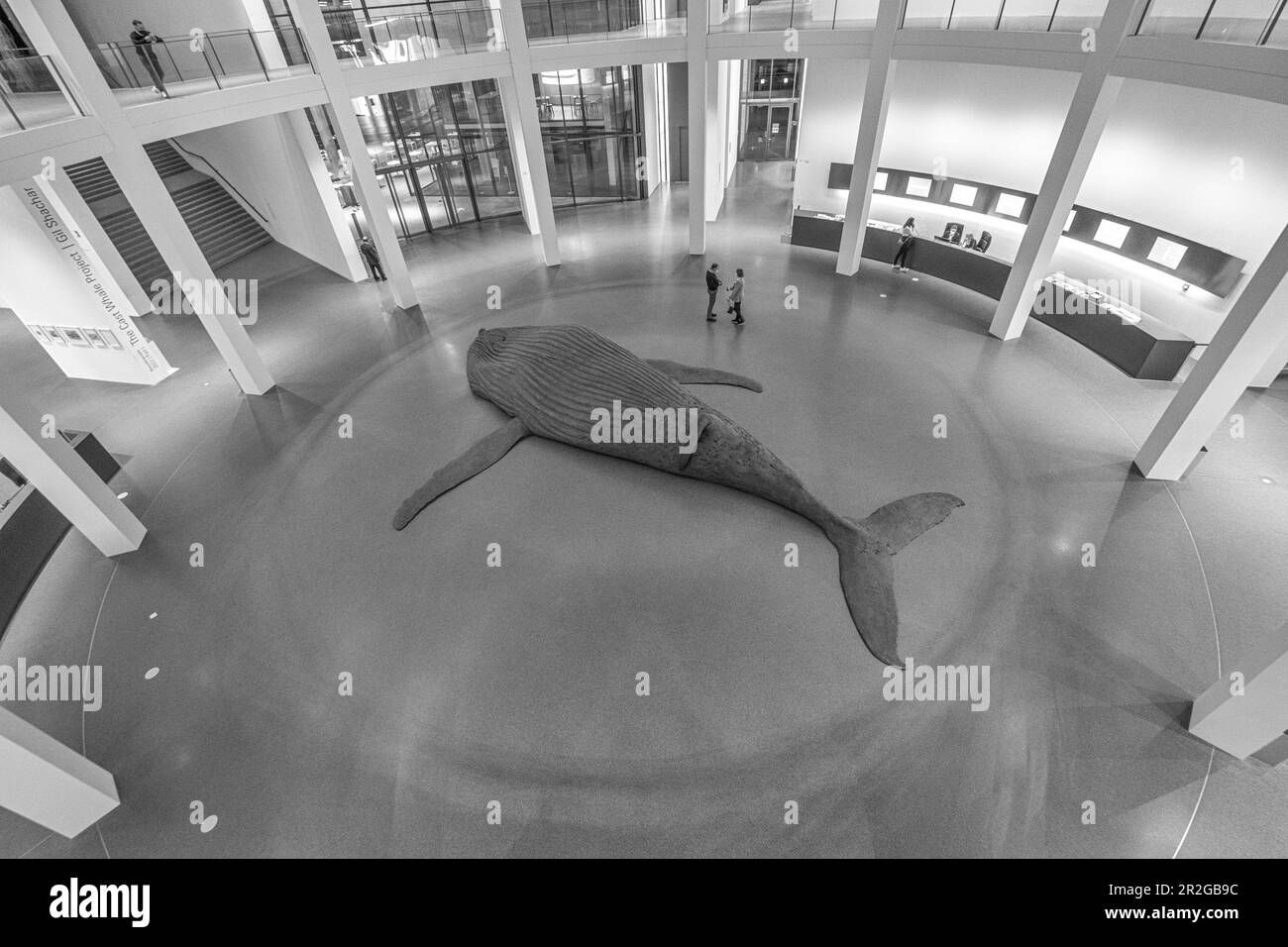 View of the rotunda of the Pinakothek der Moderne with art project ...
