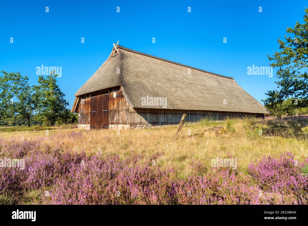 Sheepfold in the Lüneburg Heath near Bispingen, Lower Saxony, Germany ...
