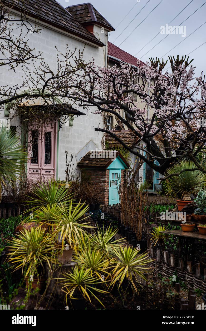 Exterior of traditional wooden houses in rainy day in Tbilisi, capital ...