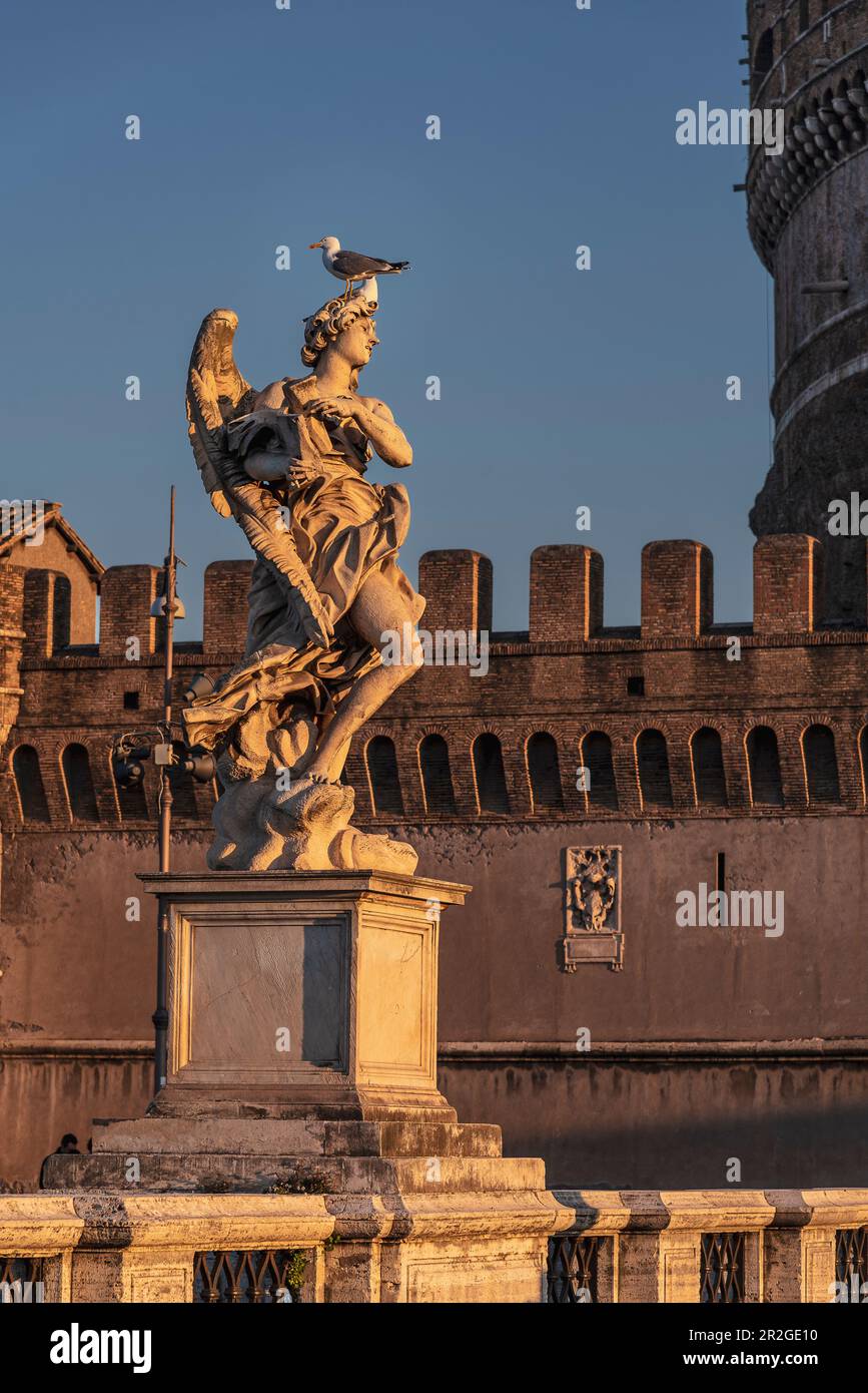 Seagull on figure on St. Angelo Bridge (Ponte Sant'Angelo) and Castel ...
