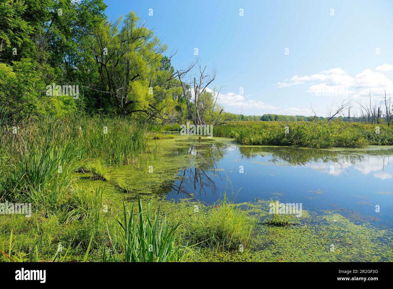 Chateauguay hi-res stock photography and images - Alamy