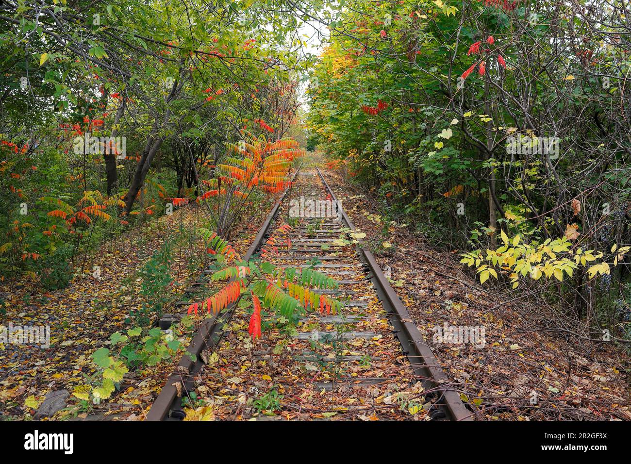 Abandoned railway line Stock Photo - Alamy