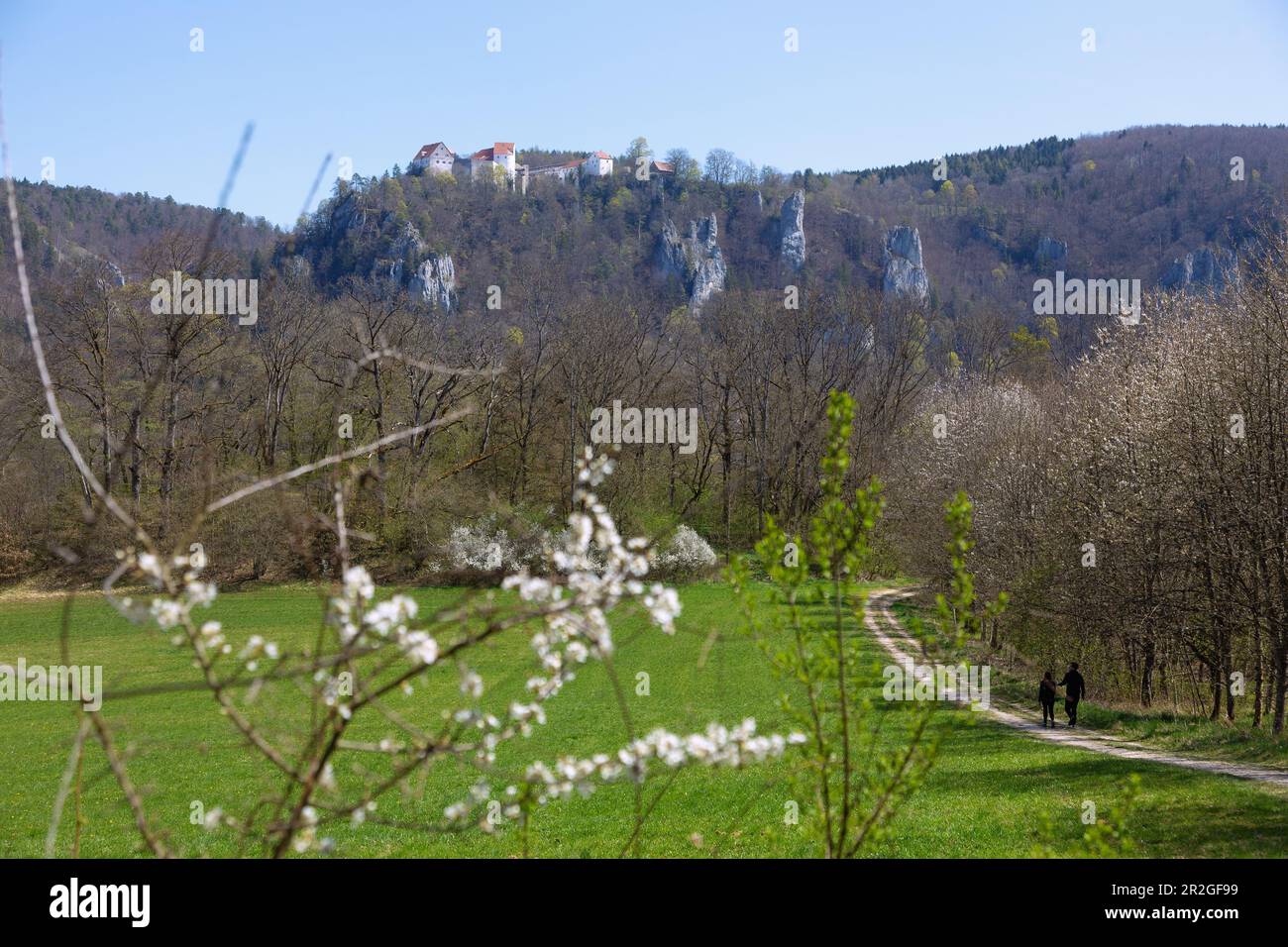 Wildenstein Castle, view from Maurus-Abzweig, Upper Danube Nature Park ...