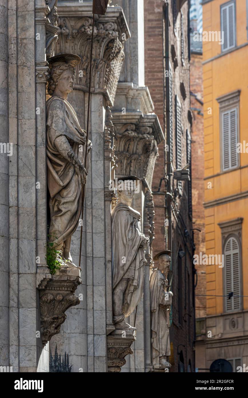 Statues, Loggia della Mercanzia, Siena, Tuscany, Italy, Europe Stock ...