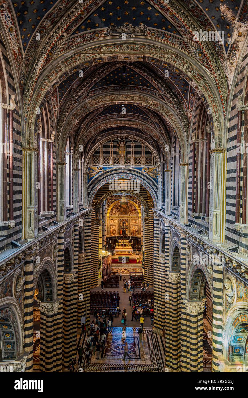 Cathedral of Santa Maria Assunta from inside, Siena, Tuscany, Italy ...