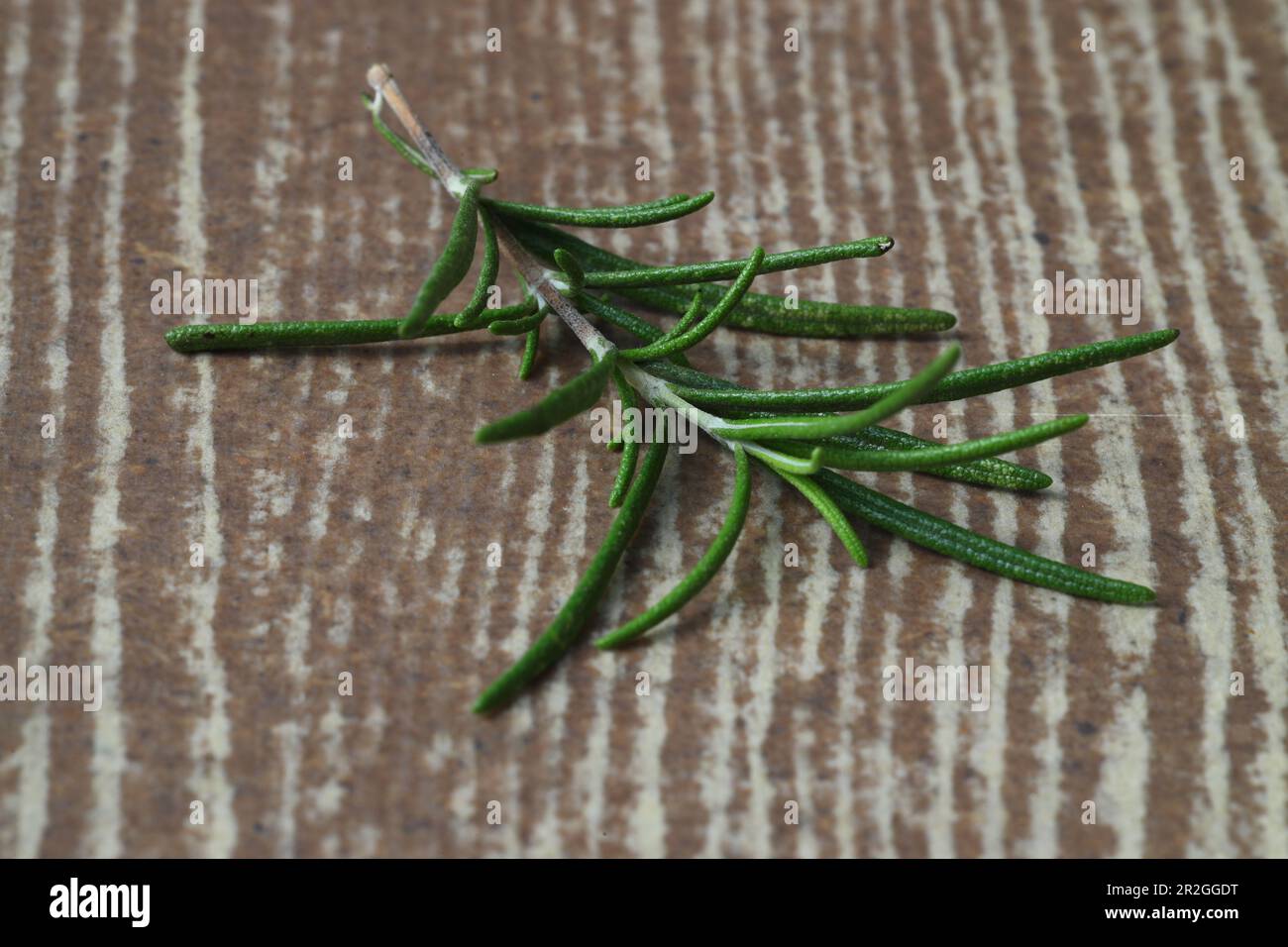 Dry organic background or texture of rosemary leaves. Healthy food ...