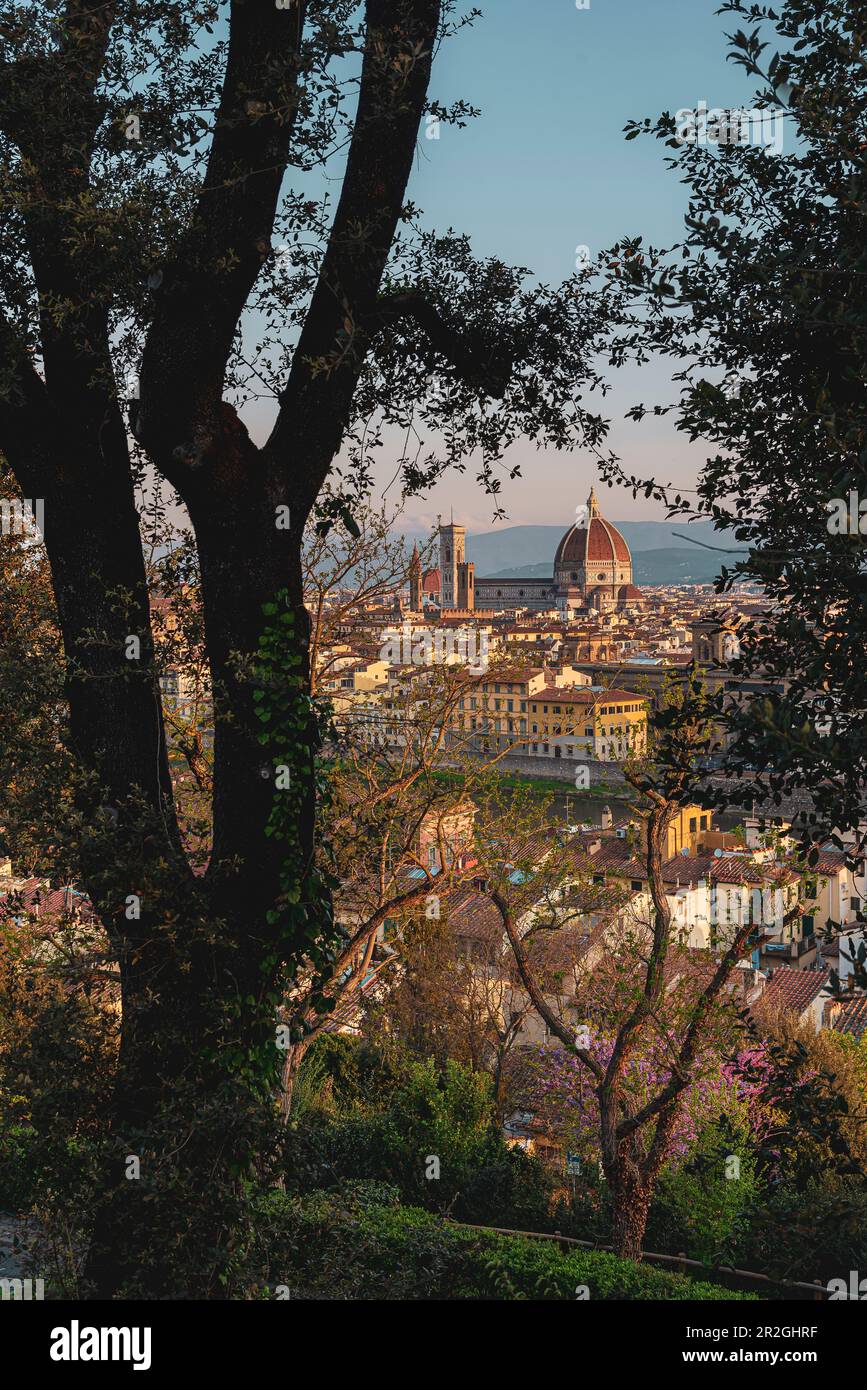 Florence rose garden hi-res stock photography and images - Alamy