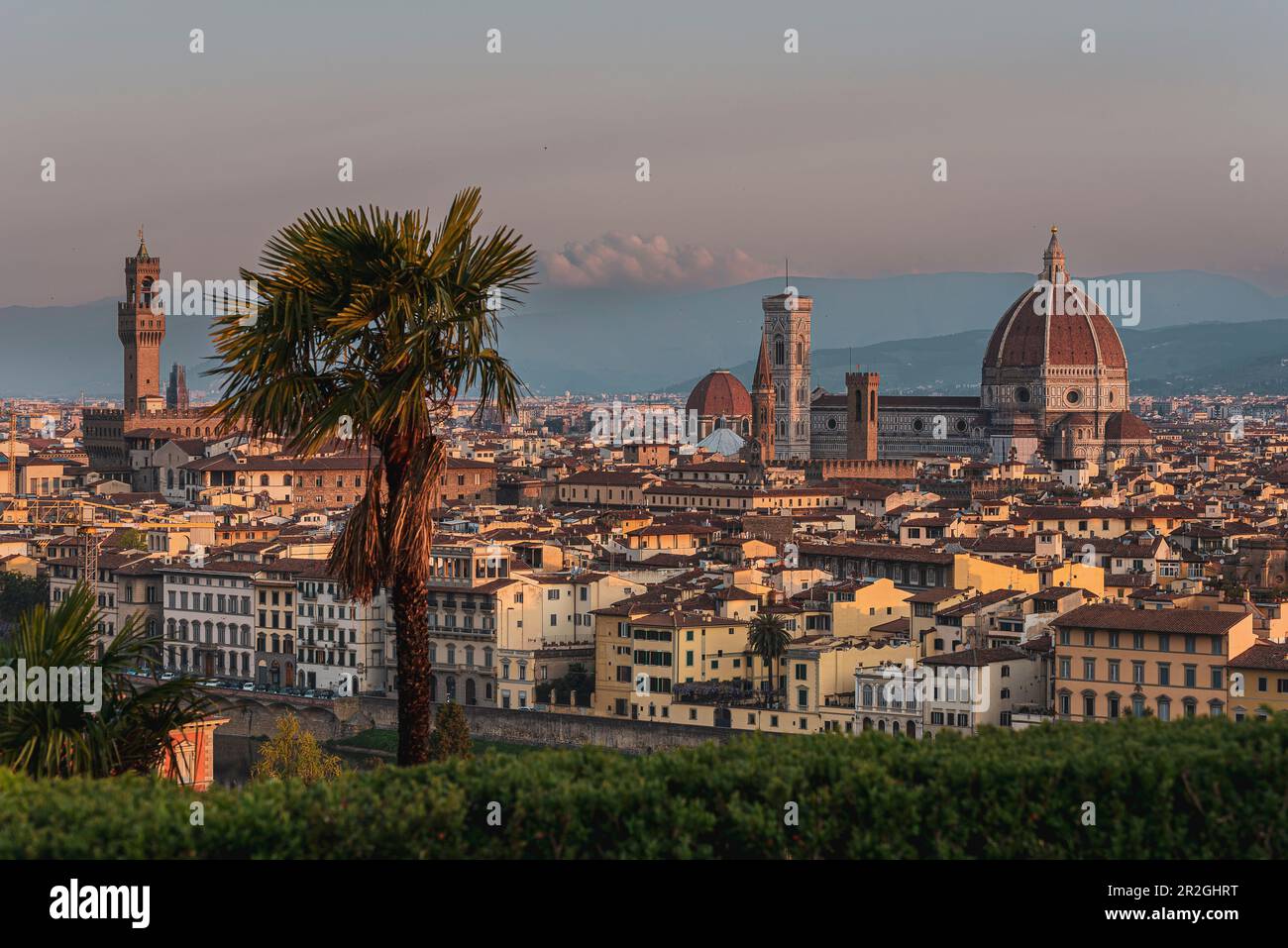 Foregroundview hi-res stock photography and images - Alamy