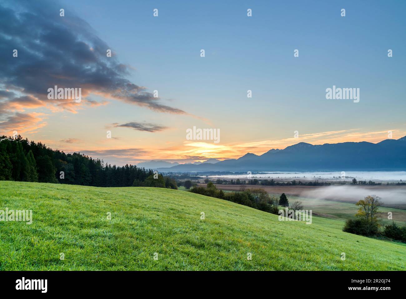 Morning in the Murnauer Moos, Murnau, Upper Bavaria, Bavaria, Germany ...