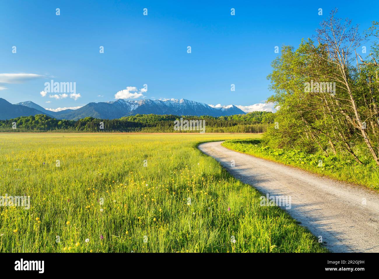 View from the Murnauer Moos to the Ester Mountains, Murnau, Upper ...