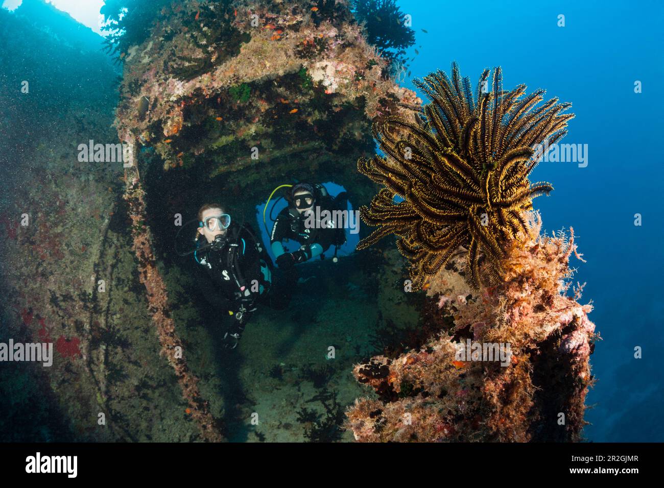 Divers on the stern of the Maldive Victory Wreck, Hulhule, North Male ...
