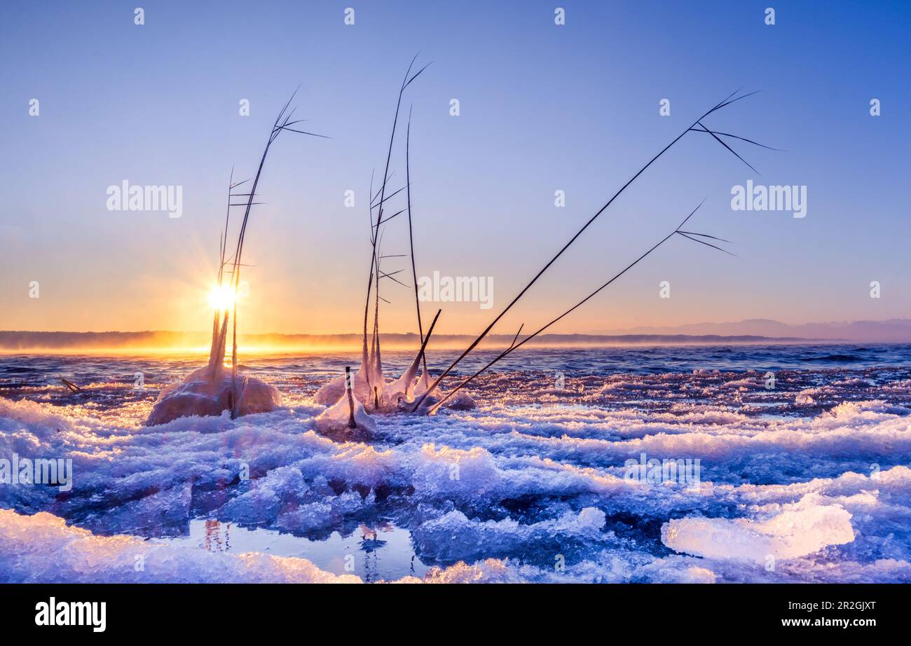 Winter at Lake Starnberg, Feldafing, Germany Stock Photo - Alamy