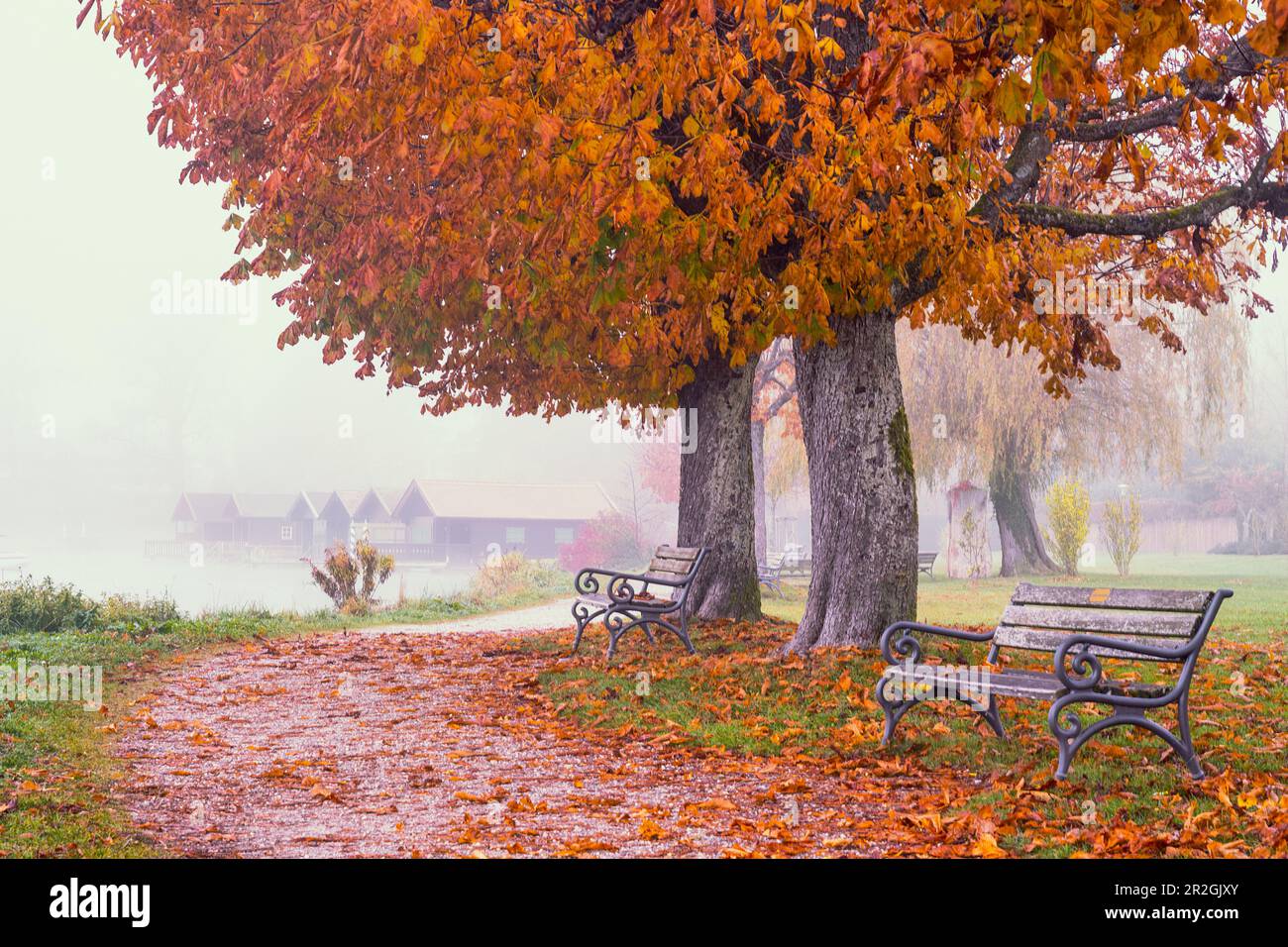 Brahmspromenade hi-res stock photography and images - Alamy