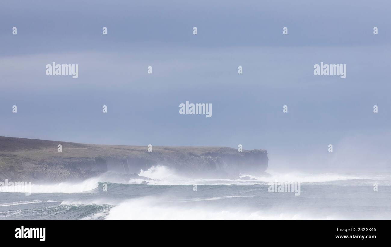 High waves, surf and spray on Irish cliffs. Ross, Kilballyowen, County ...