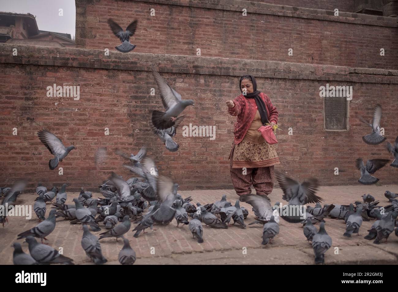 Traditionally dressed woman feeds pigeons in front of Nyatapola Temple ...