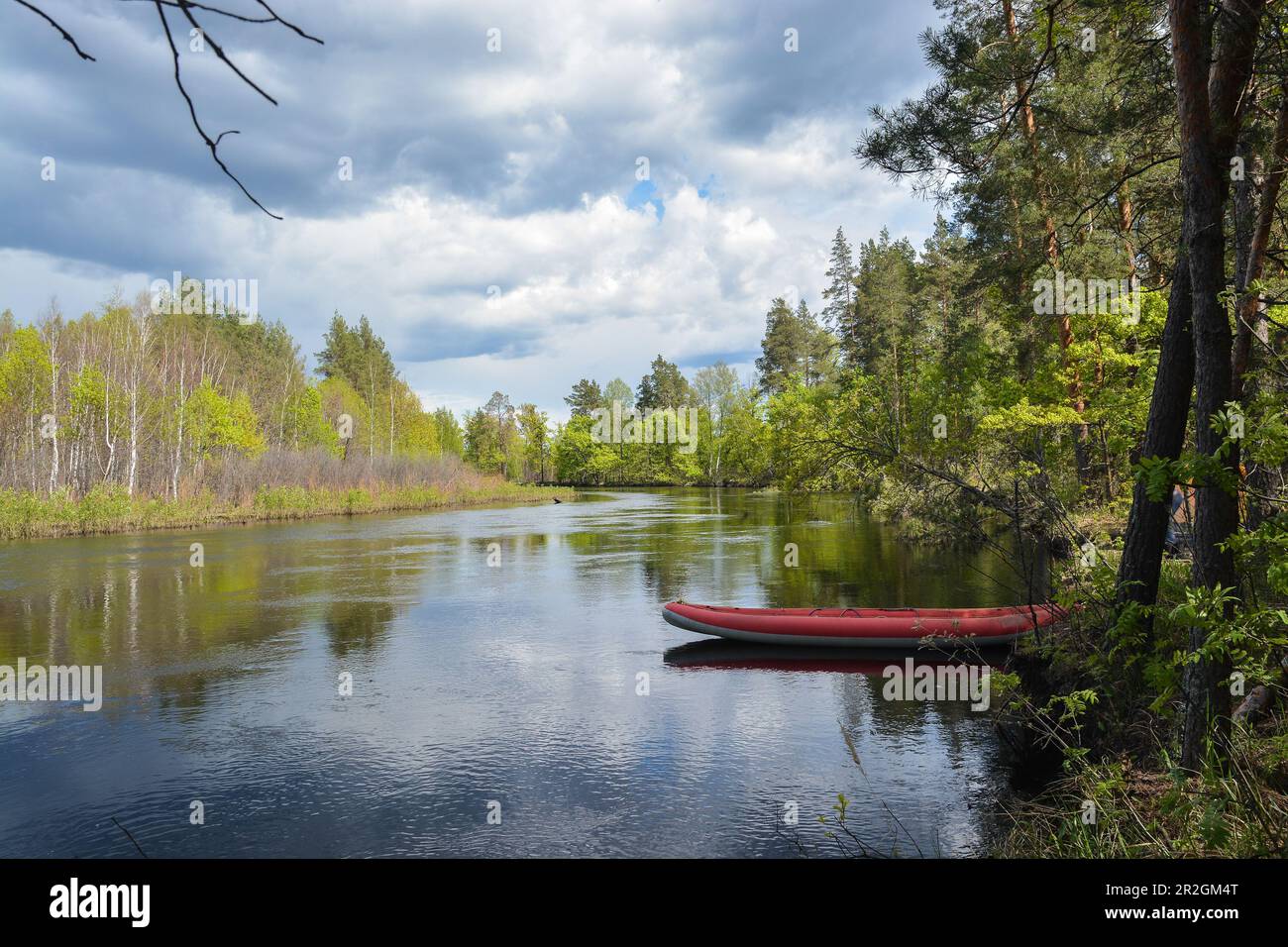 Spring day on a forest river. May river landscape in the Meshchersky ...
