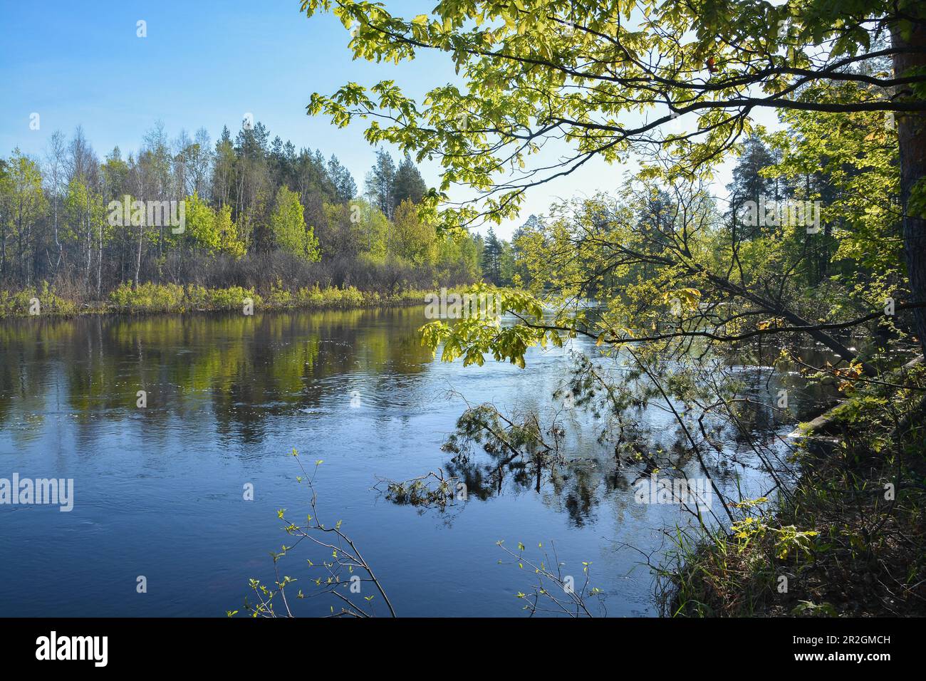 May river hi-res stock photography and images - Alamy