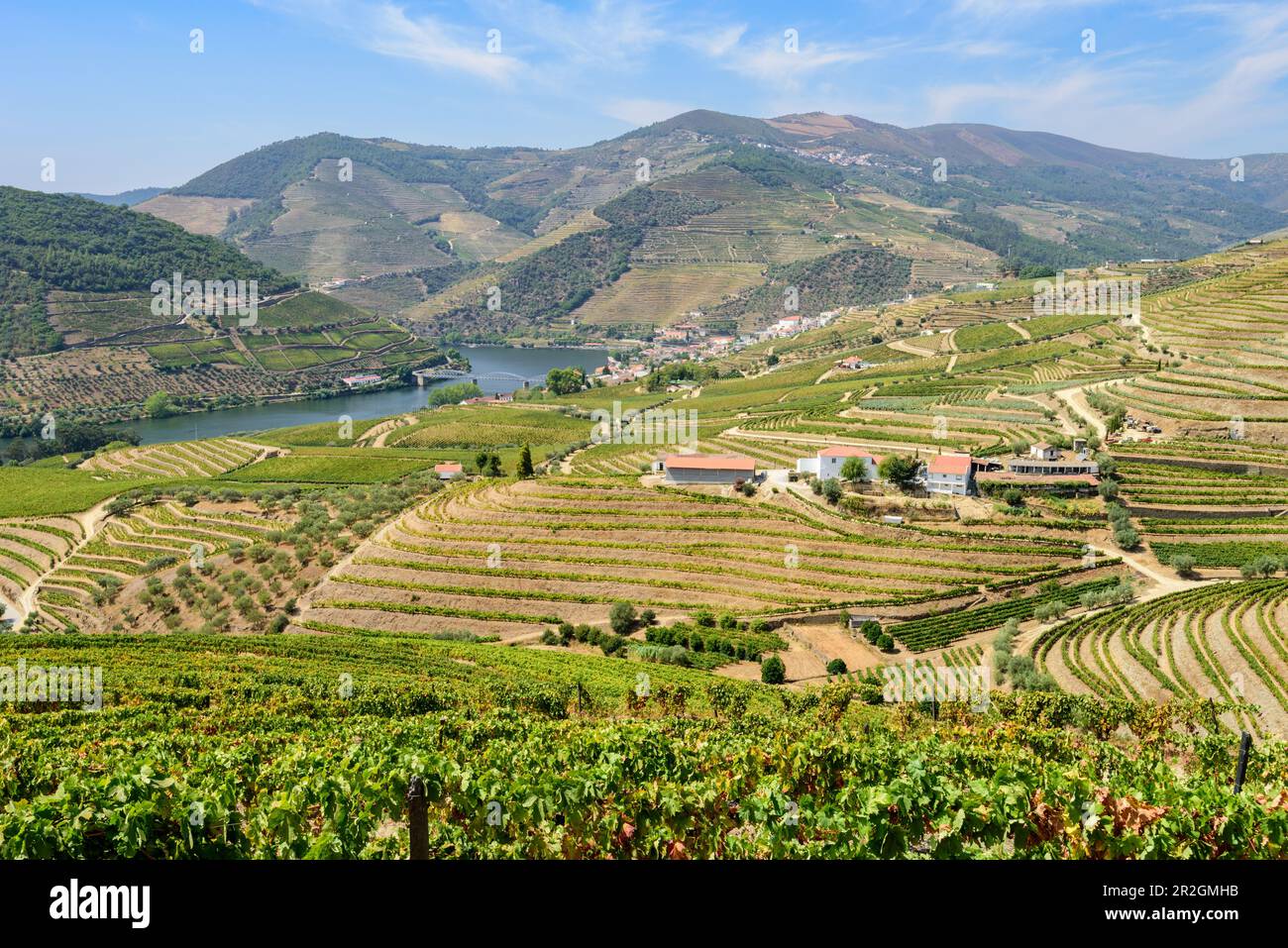 Birds eye view douro hi-res stock photography and images - Alamy