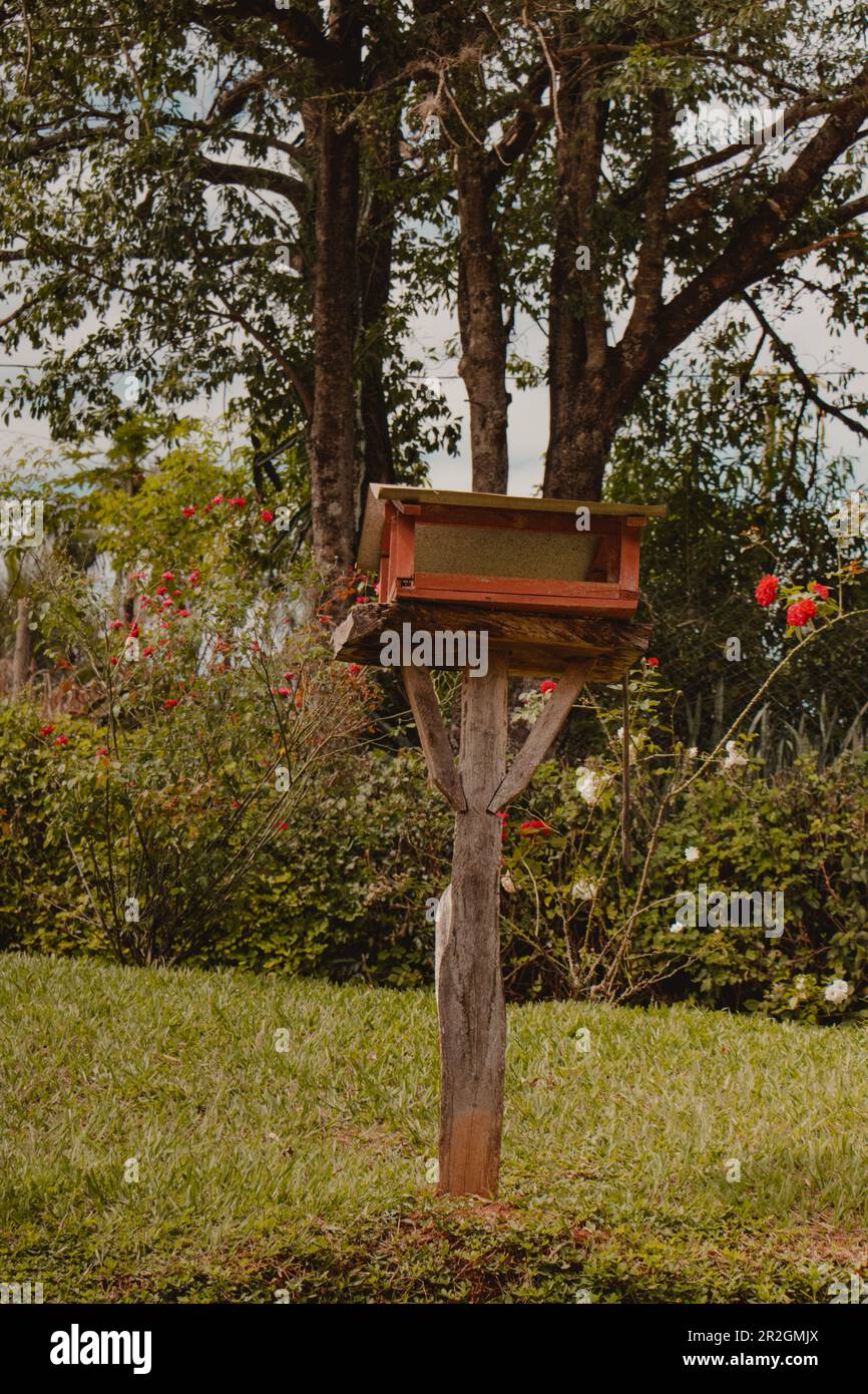 Dodo bird nest hi-res stock photography and images - Alamy