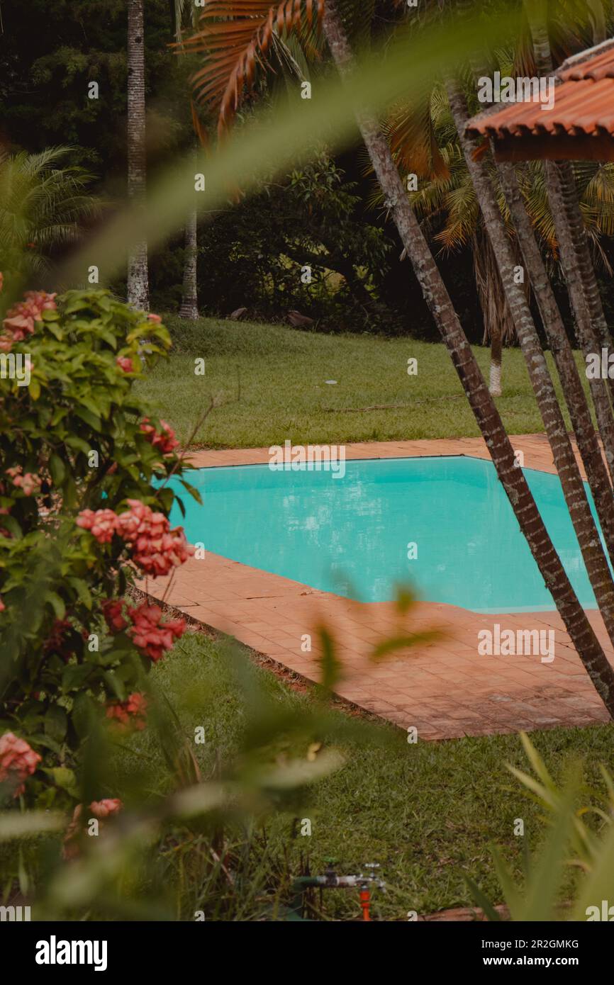 Backyard pool with trees hi-res stock photography and images - Alamy