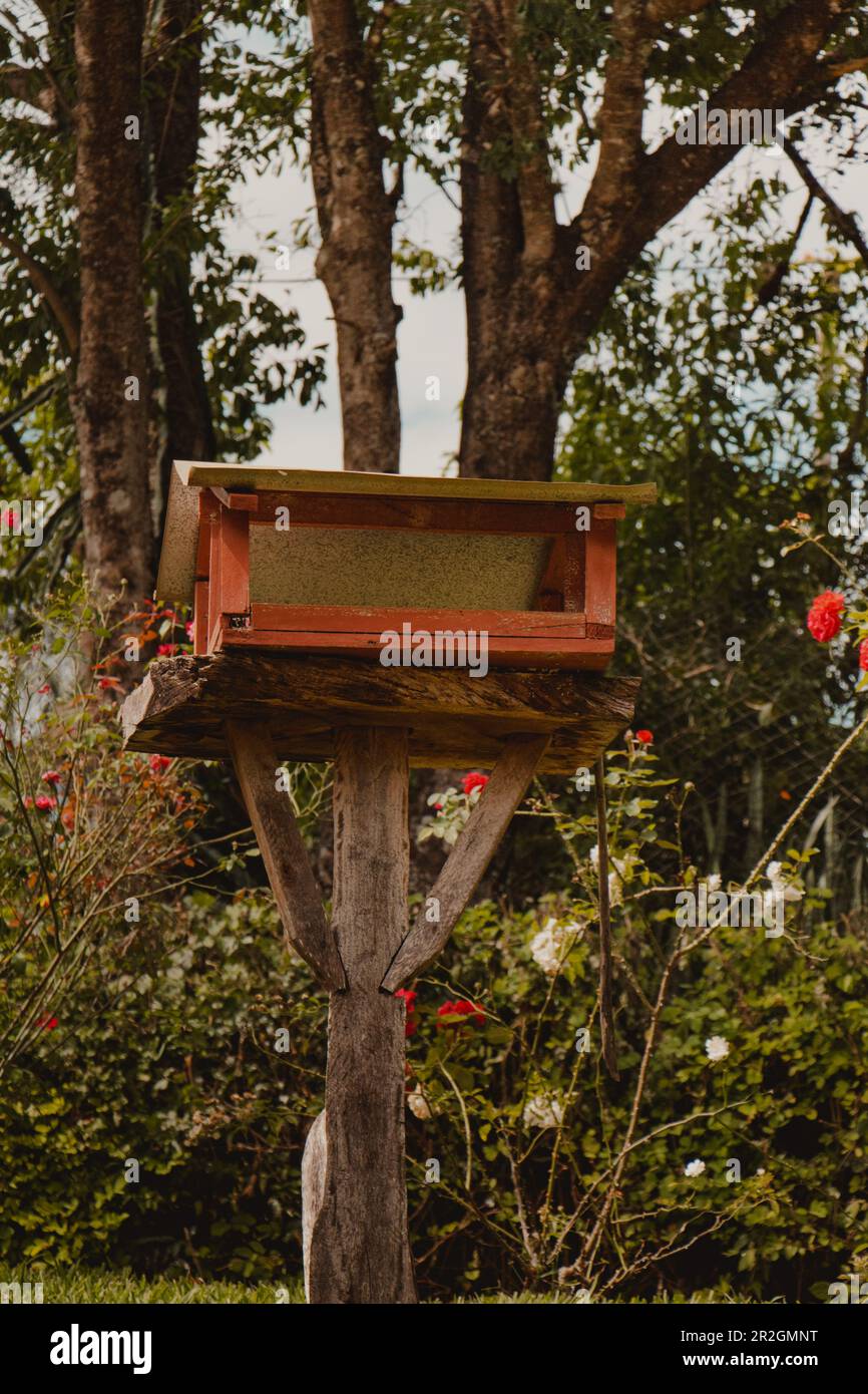 wooden bird nest Stock Photo - Alamy