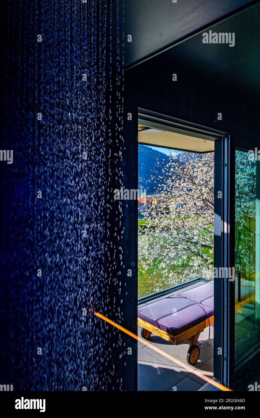 Shower with Panoramic View over a Cherry Tree with Flowers in a Sunny ...