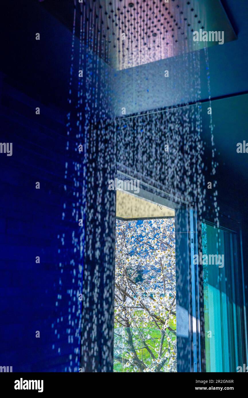Shower with Panoramic View over a Cherry Tree with Flowers in a Sunny ...