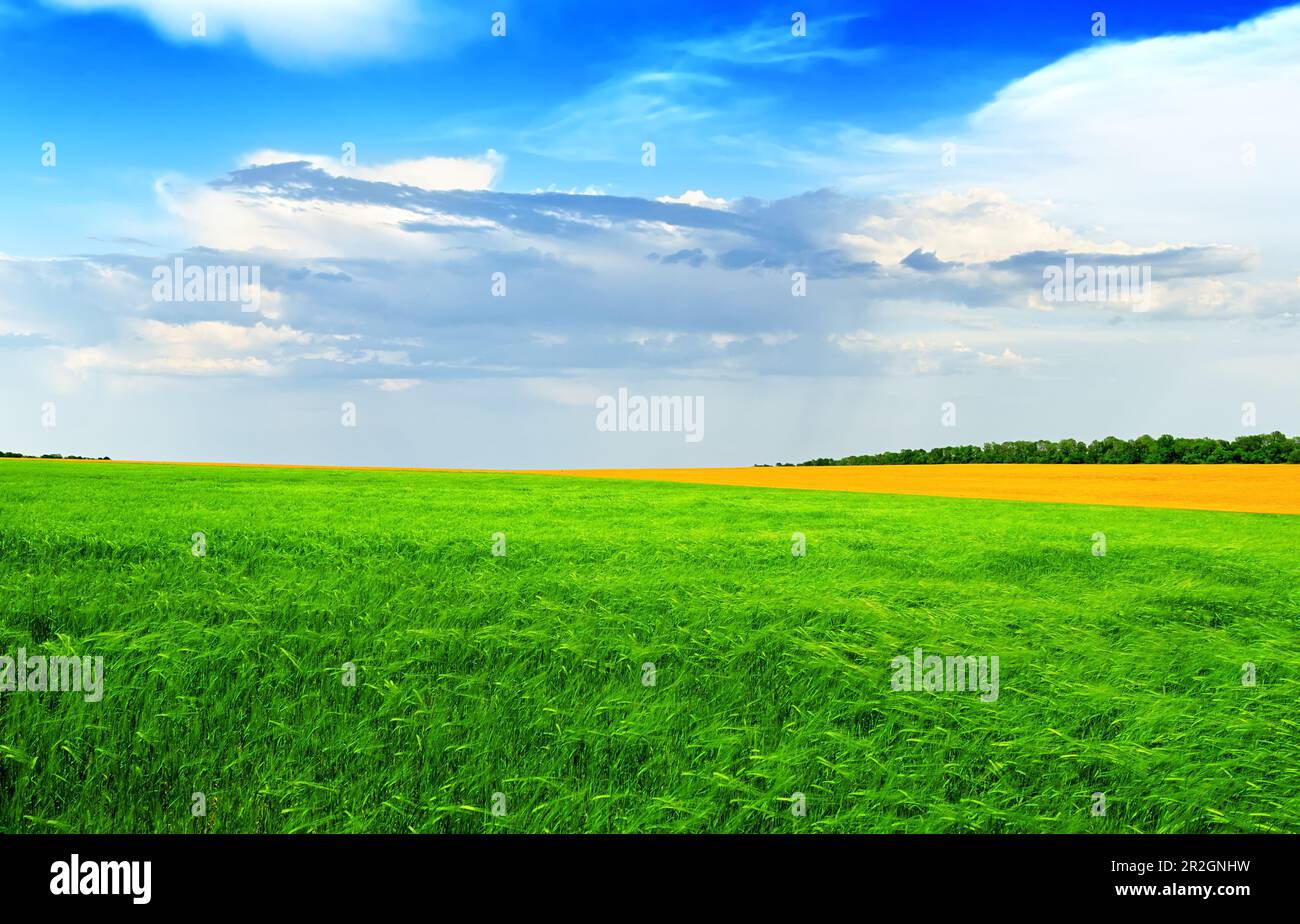 Azov fields hi-res stock photography and images - Alamy
