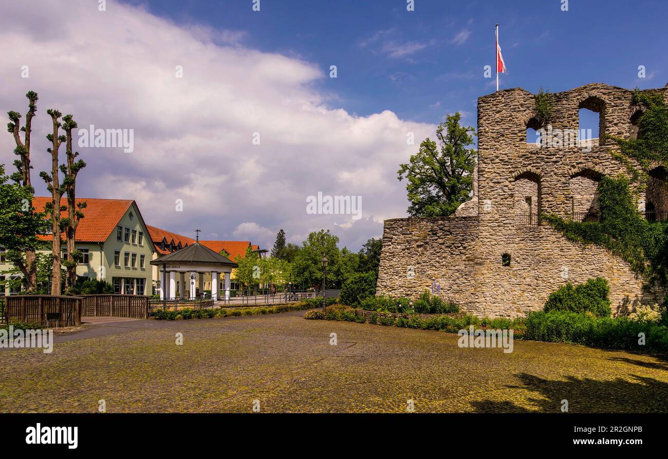 Castle ruins and Arminius spring in Bad Lippspringe, North Rhine ...