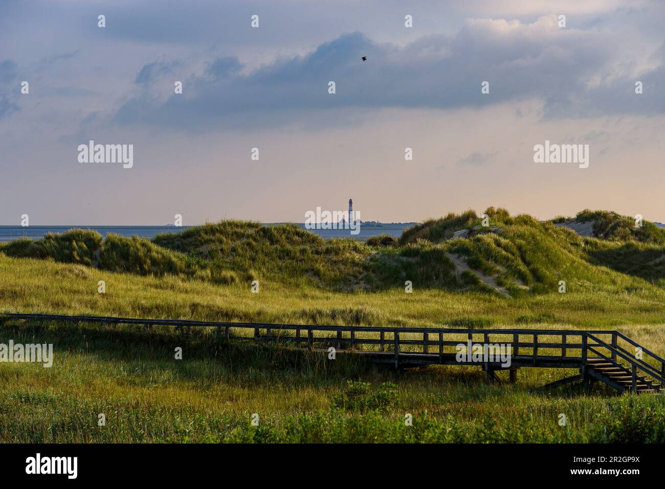 Dune landscape on the beach of St. Peter Ording, Westerhever lighthouse ...