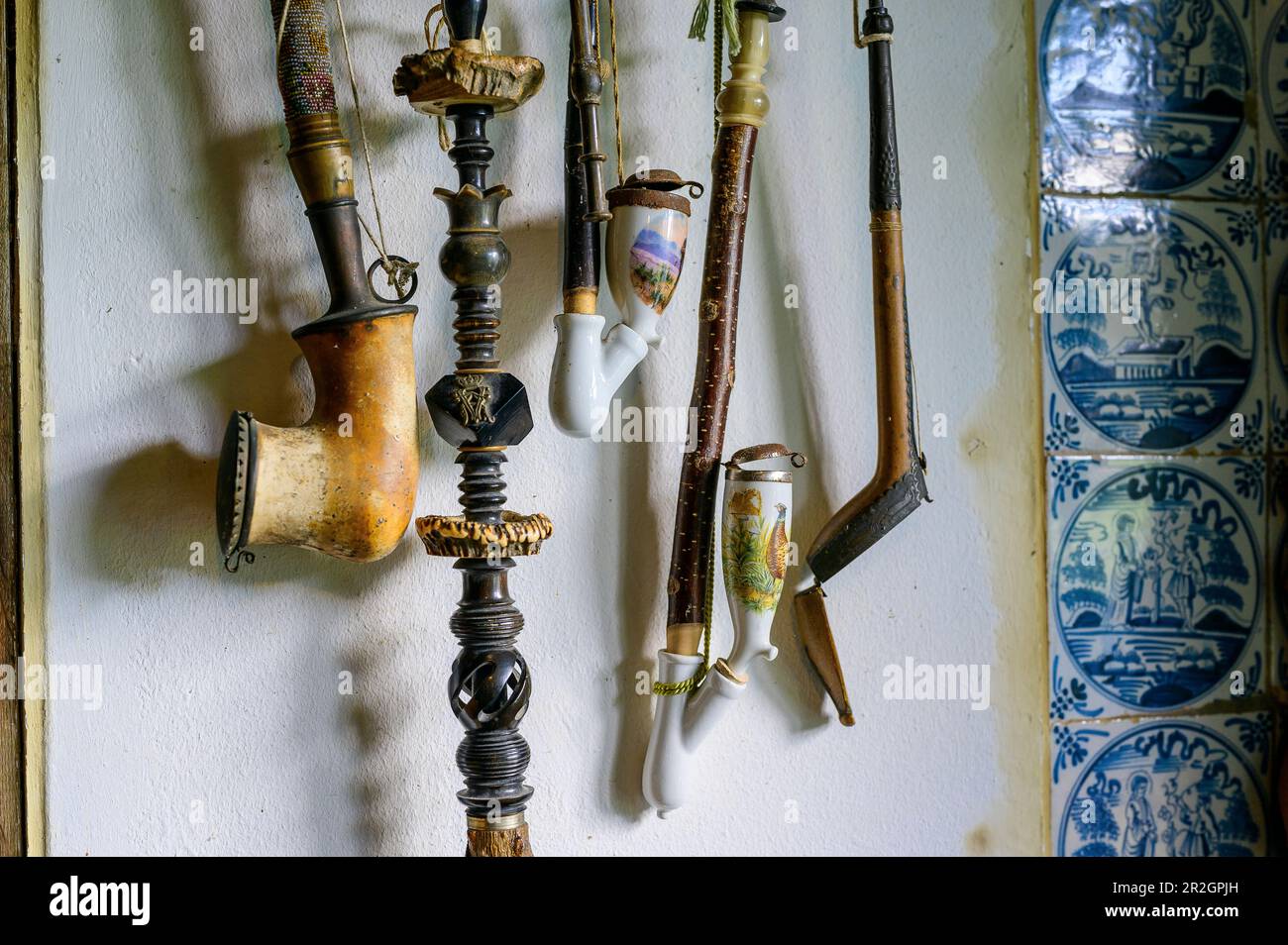 Frisians hi-res stock photography and images - Alamy