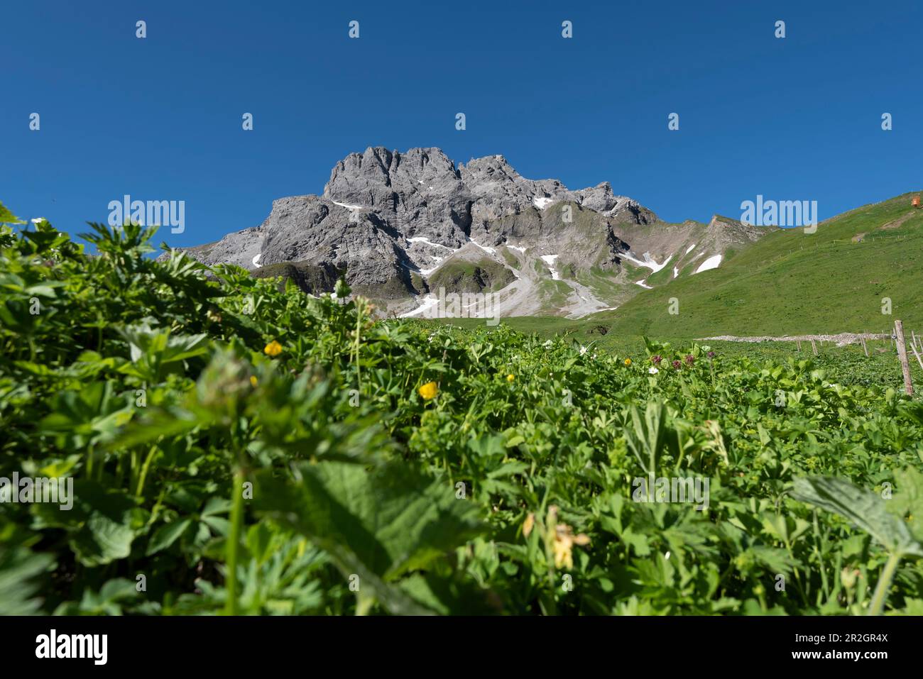 Ascent to kemptner hut hi-res stock photography and images - Alamy