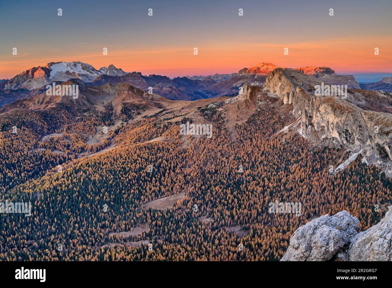 Autumn colored larch forest with Marmolada, Sella Group and Setsas ...