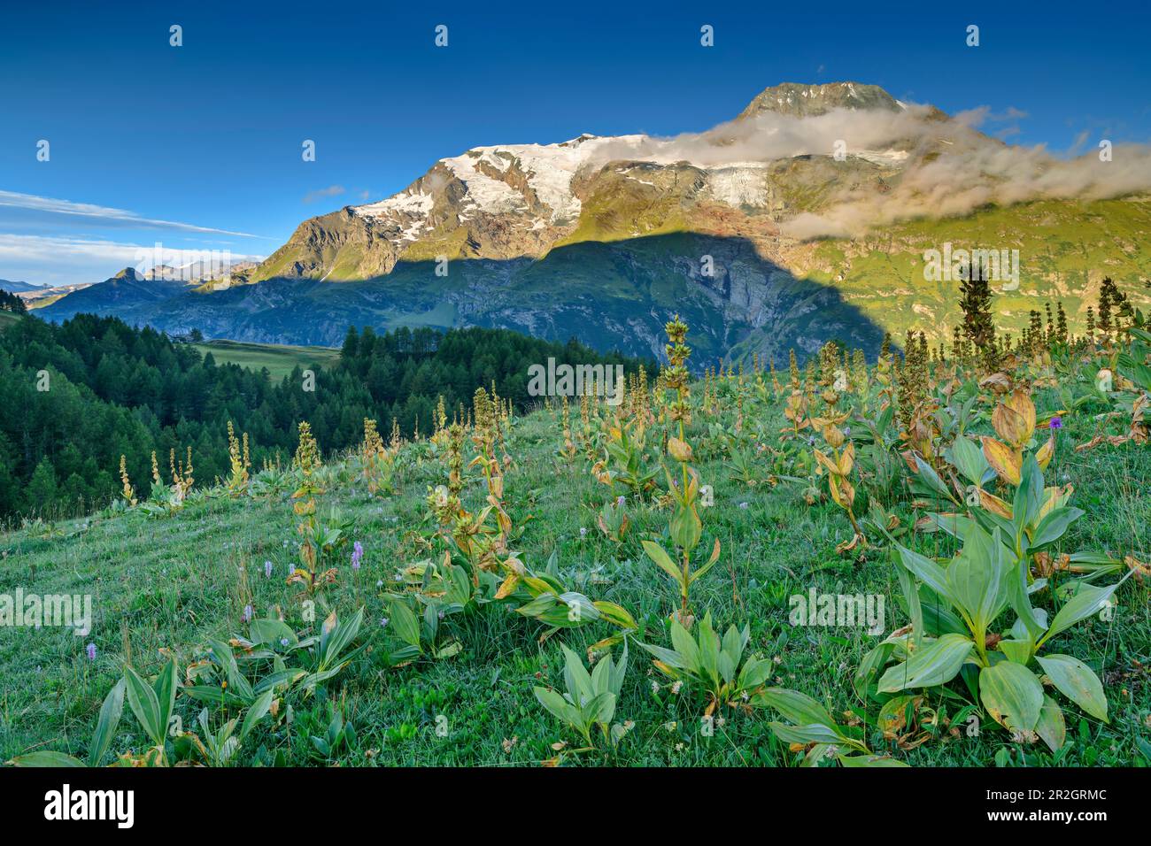 Mont pourri in hi-res stock photography and images - Alamy