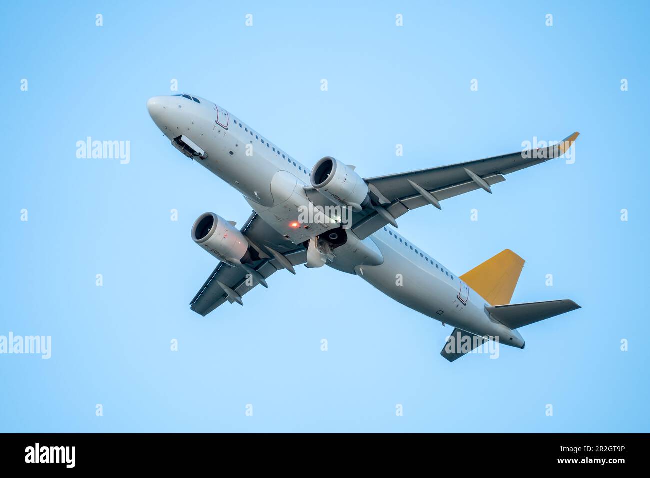 Bottom wing hi-res stock photography and images - Alamy