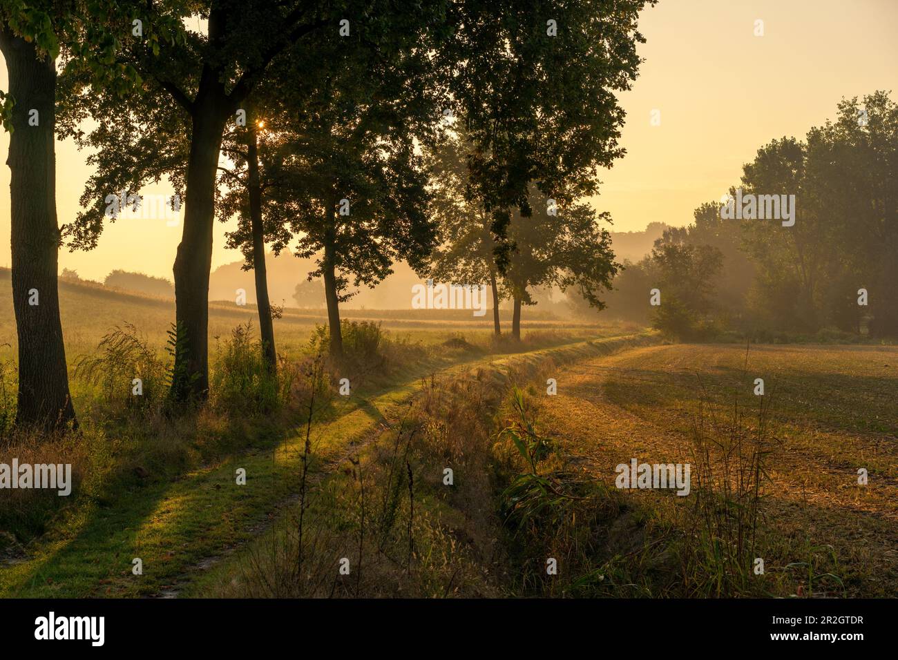 Glorious spring hi-res stock photography and images - Alamy