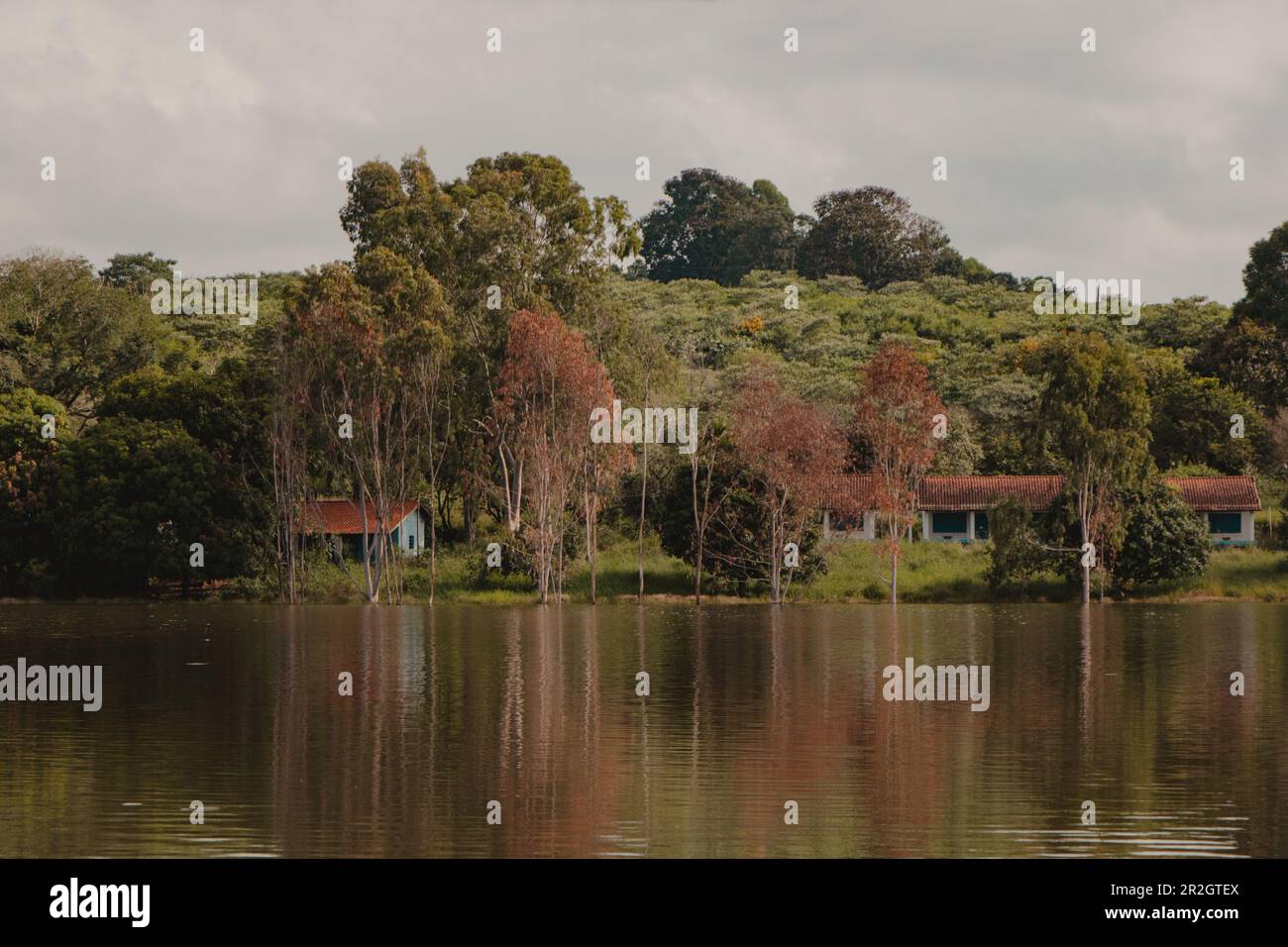 lake houses hidden behind trees Stock Photo - Alamy