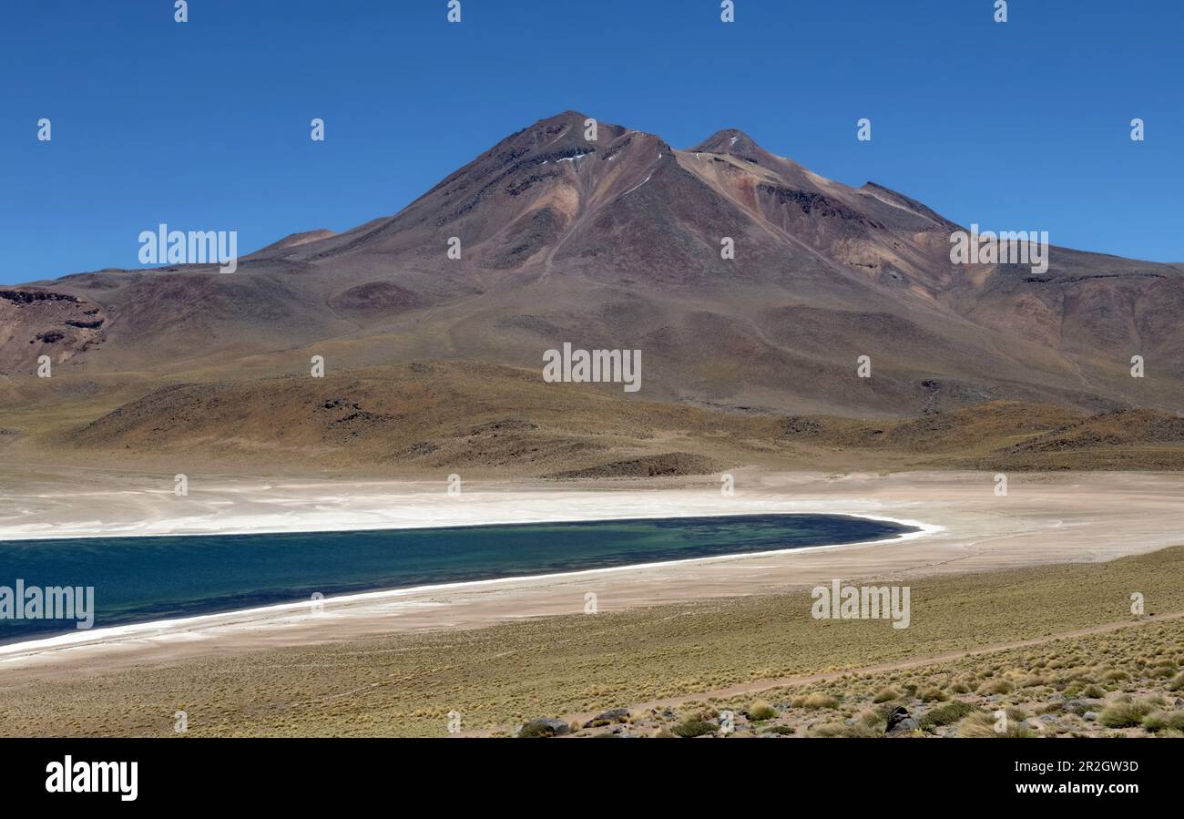 Miscanti Lagoon and the Miñiques volcano in Chile Stock Photo - Alamy