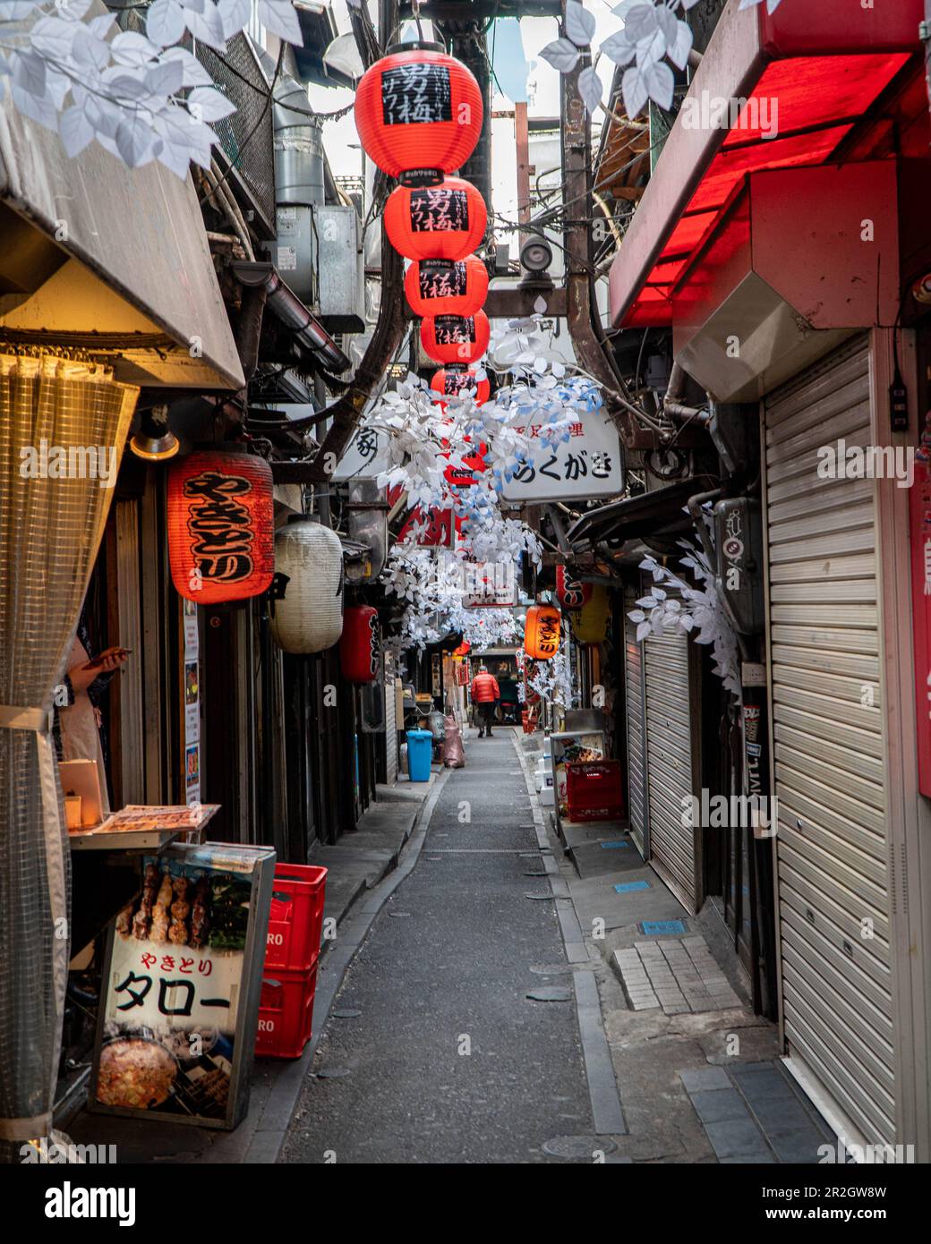 japan; tokyo; tokio; omeide yokocho; shinjuku; street; street ...