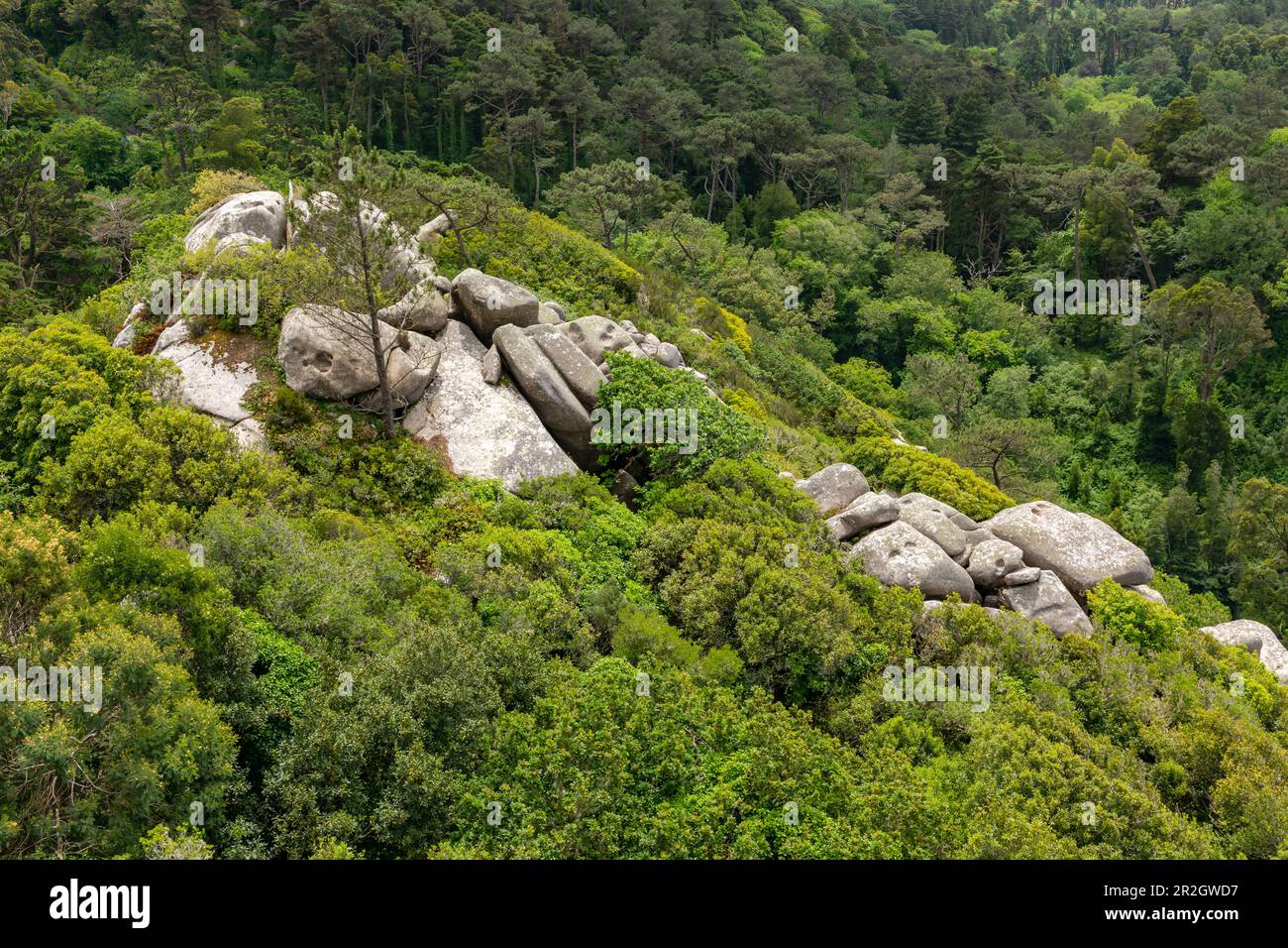 Granite rocks in Serra da Sintra forest in World Heritage of Sintra ...