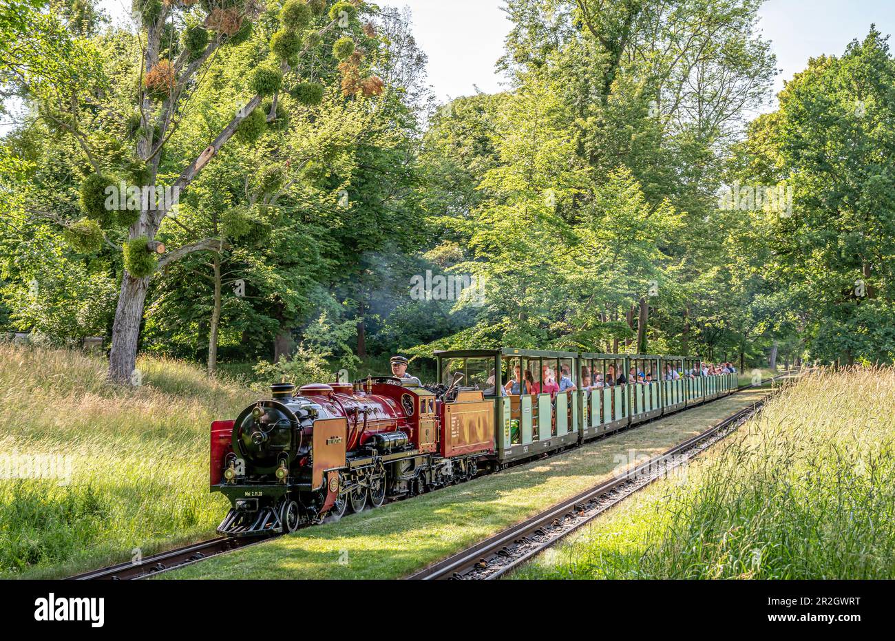 Park railway steam locomotive in the Great Garden of Dresden, Saxony ...