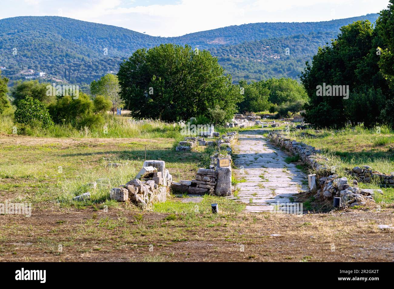 Heraion of Samos, Sacred Way, archaeological site of the ancient ...