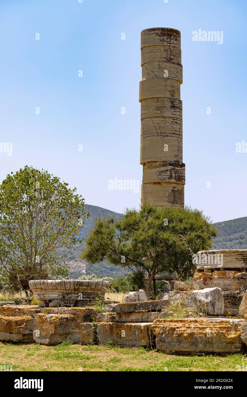 Heraion of Samos, large pillared temple, archaeological site of the ...