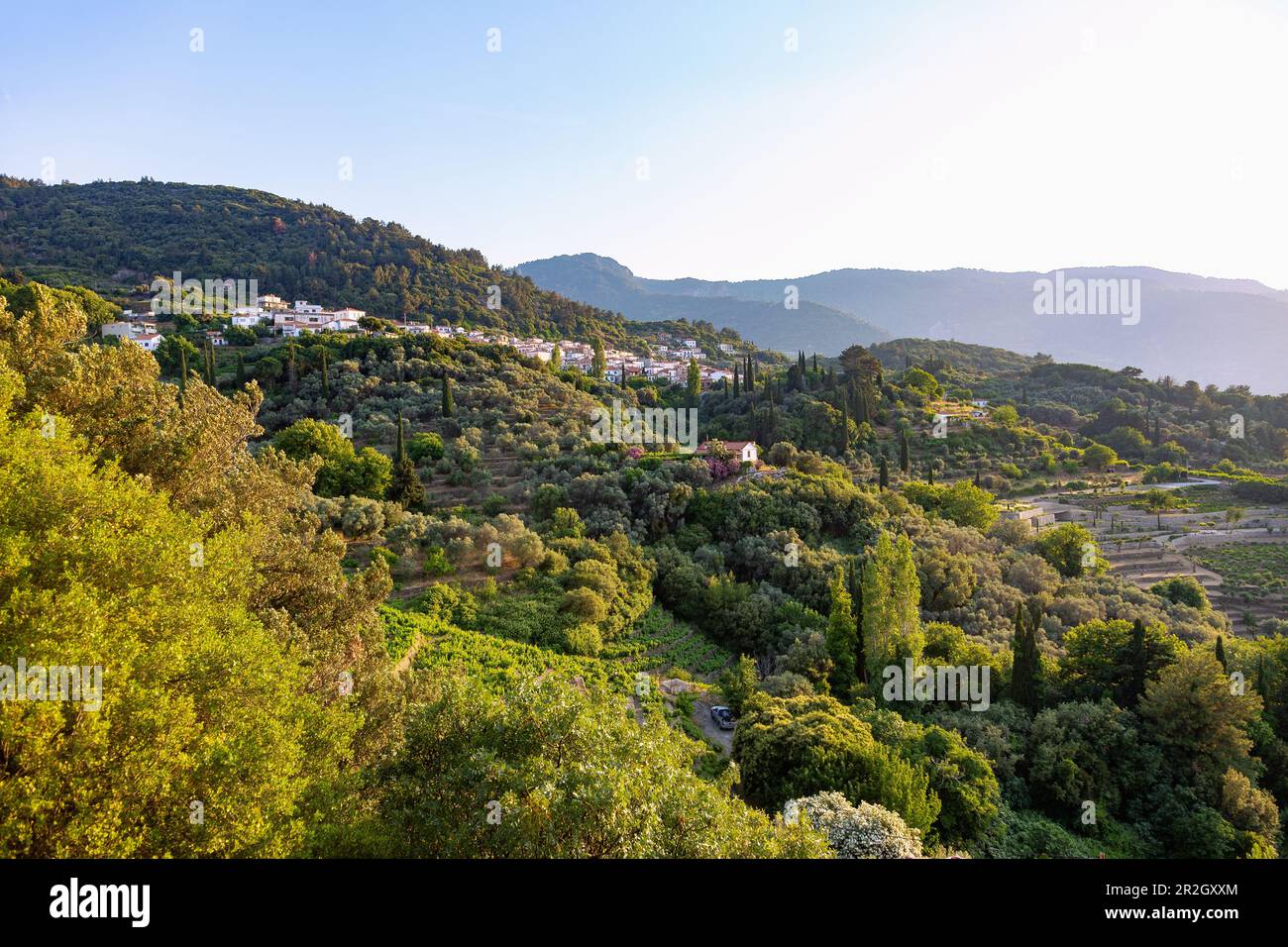 Vourliotes, mountain village in the north of Samos island in Greece ...