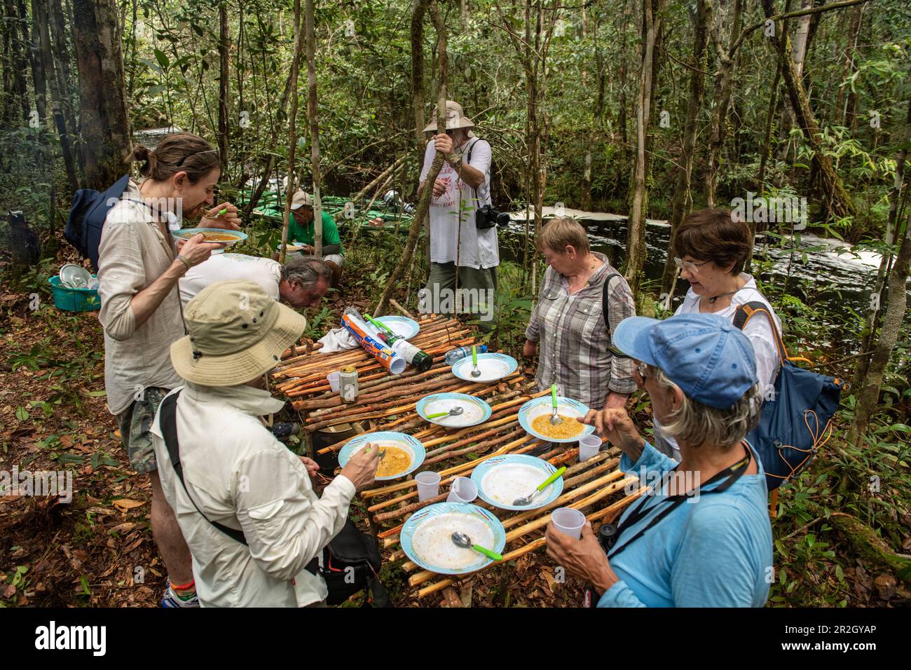Tourists in a forest enjoy al fresco lunch on a natural table made of ...