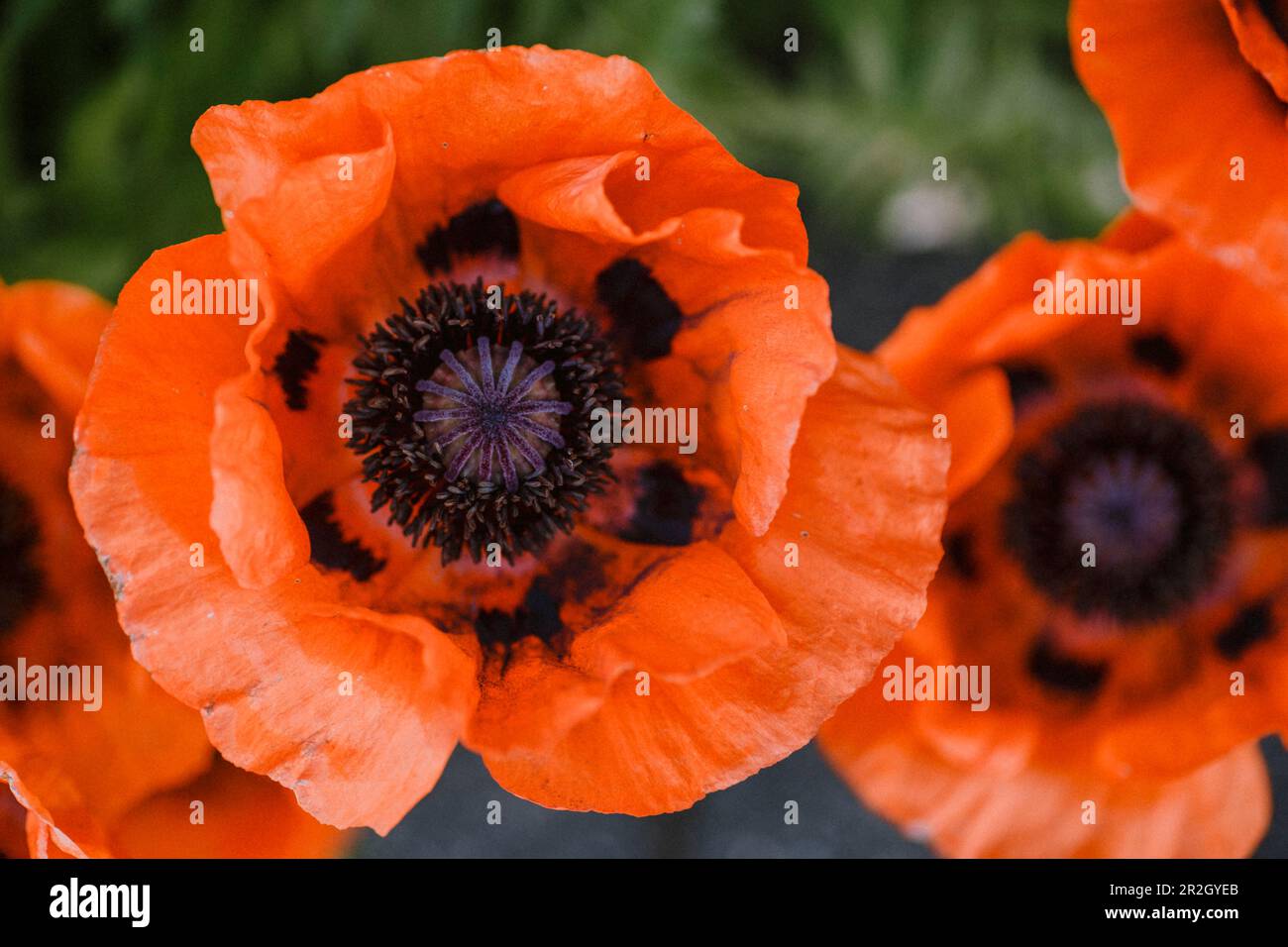 Open topview hi-res stock photography and images - Alamy