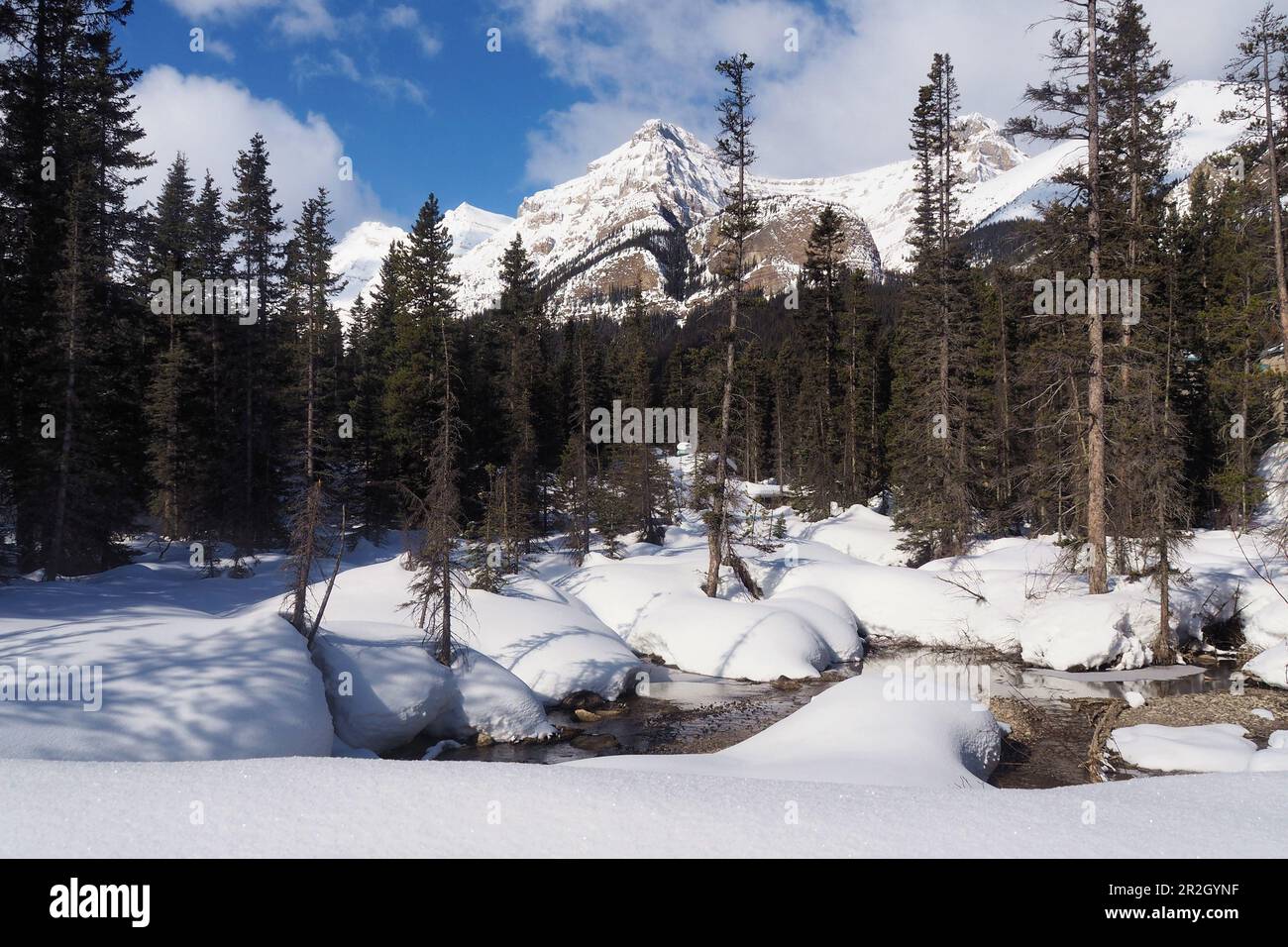 Louise beck hi-res stock photography and images - Alamy