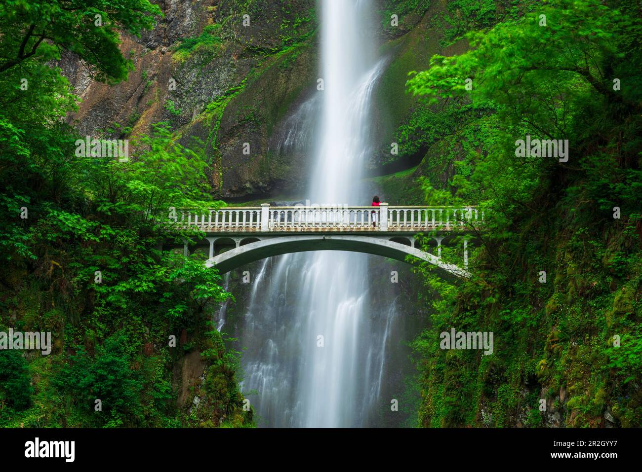 Multnomah Falls, Columbia River Gorge National Scenic Area, Oregon USA ...