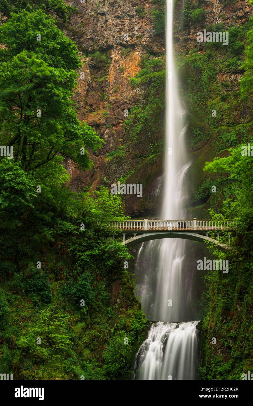 Multnomah Falls, Columbia River Gorge National Scenic Area, Oregon USA ...